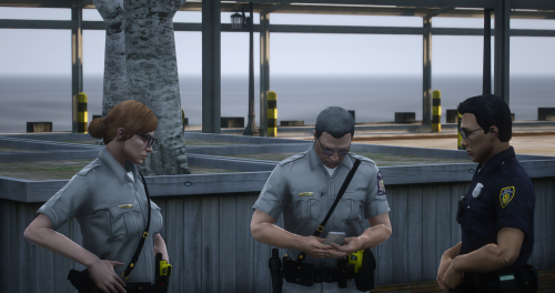 Liberty City Police Department Badge