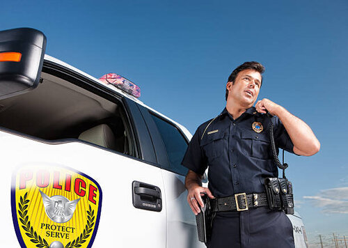 Rapid Response Unit - Script Modifications & Plugins - LCPDFR.com