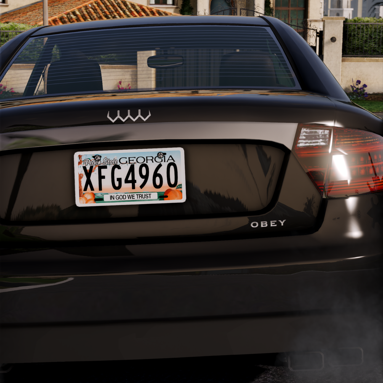 Clayton County License Plates + Plates for Prowler Radar - Visuals ...