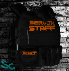 FiveM Staff Vests - Player & Ped Modifications - LCPDFR.com