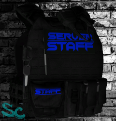 FiveM Staff Vests - Player & Ped Modifications - LCPDFR.com