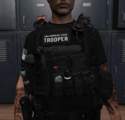 FiveM Staff Vests - Player & Ped Modifications - LCPDFR.com