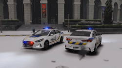 Police rear window cage - Vehicle Parts - LCPDFR.com