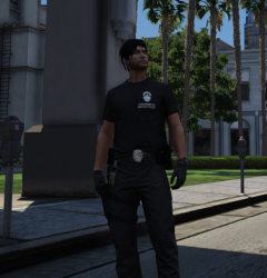 CHP Police Computer - Other Modifications & Files - LCPDFR.com