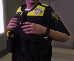 LSPD First Response - LSPD First Response - LCPDFR.com