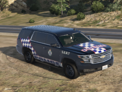 307 Temporary Redirect