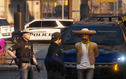 Emergency Callouts | BETA - Script Modifications & Plugins - LCPDFR.com