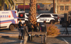 Emergency Callouts | BETA - Script Modifications & Plugins - LCPDFR.com