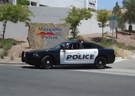 Nevada Highway Patrol Livery Pack - Vehicle Textures - LCPDFR.com