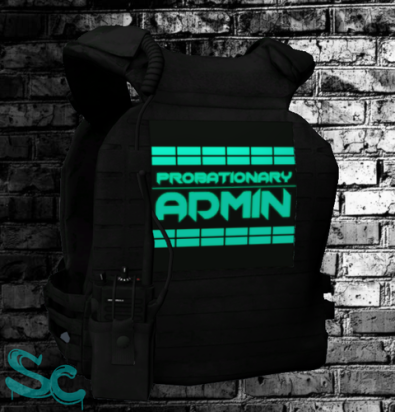 FiveM Staff Vests - Player & Ped Modifications - LCPDFR.com