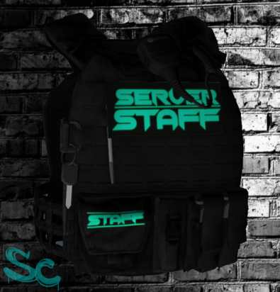 FiveM Staff Vests - Player & Ped Modifications - LCPDFR.com