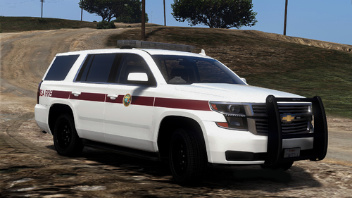 307 Temporary Redirect